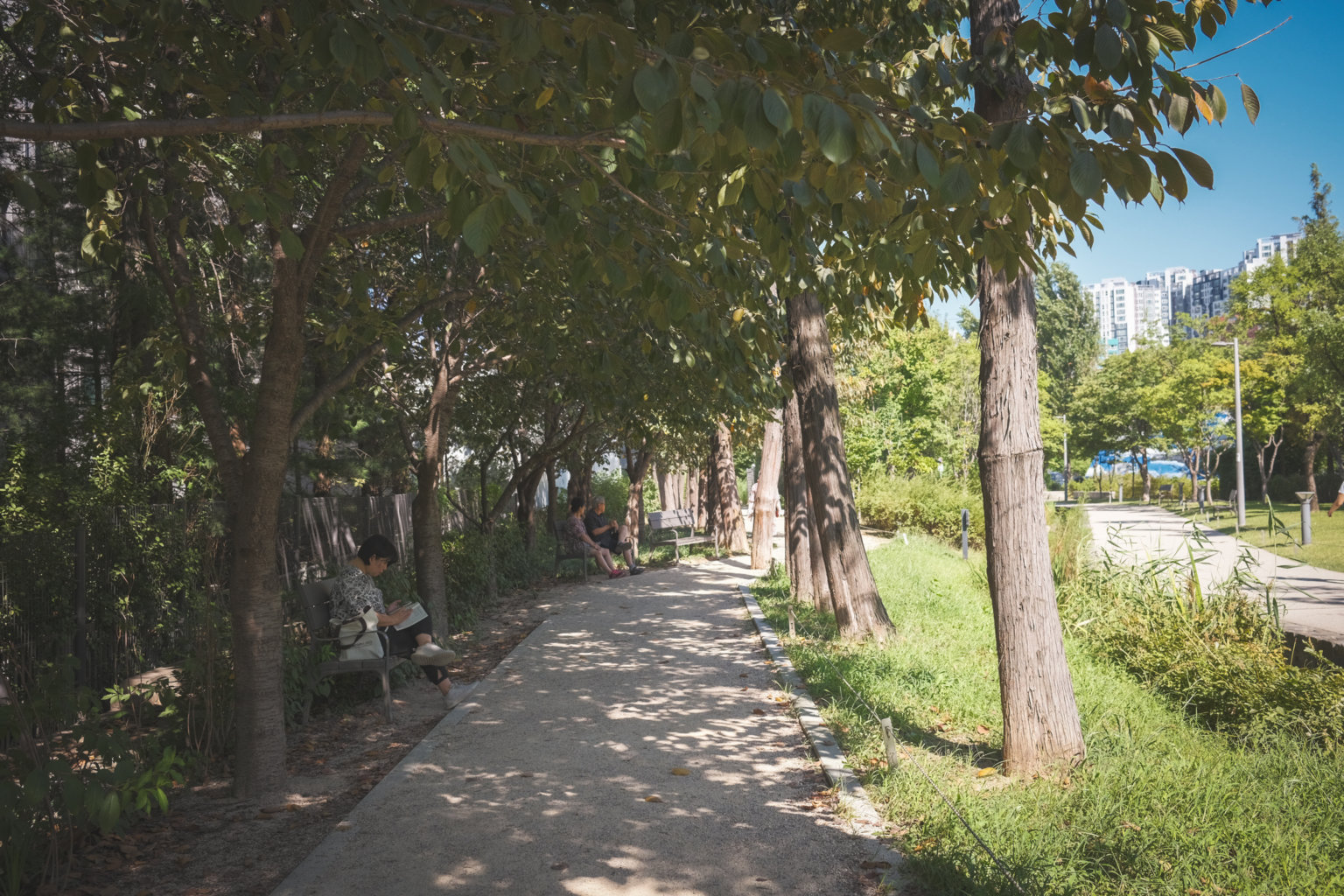 Winnie Lim » 10 quick scenes from seoul